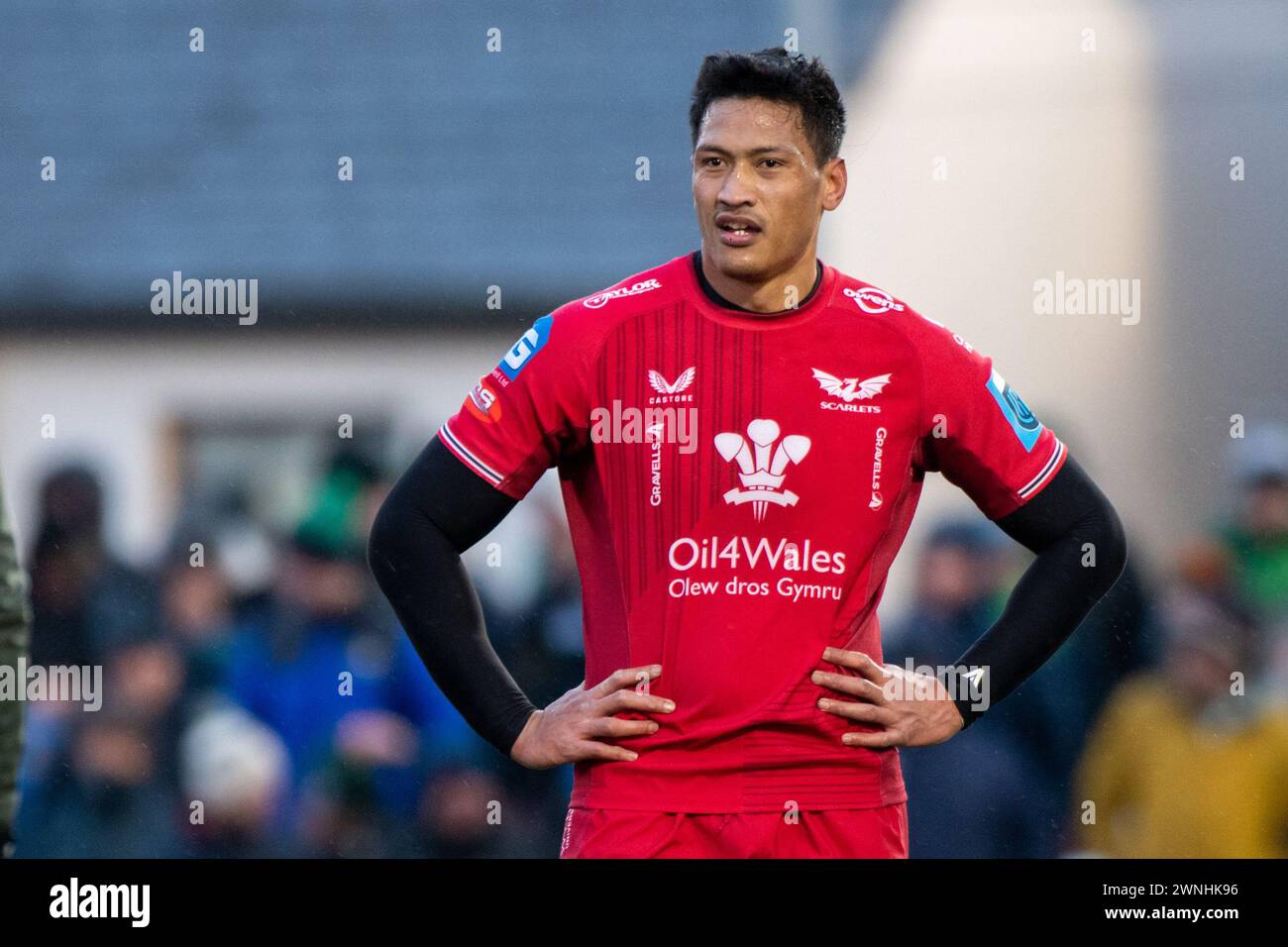 Sam lousi hi-res stock photography and images - Alamy