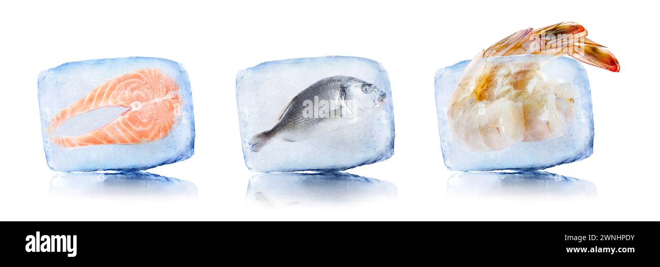 Frozen food. Different seafood in ice cubes isolated on white, set ...