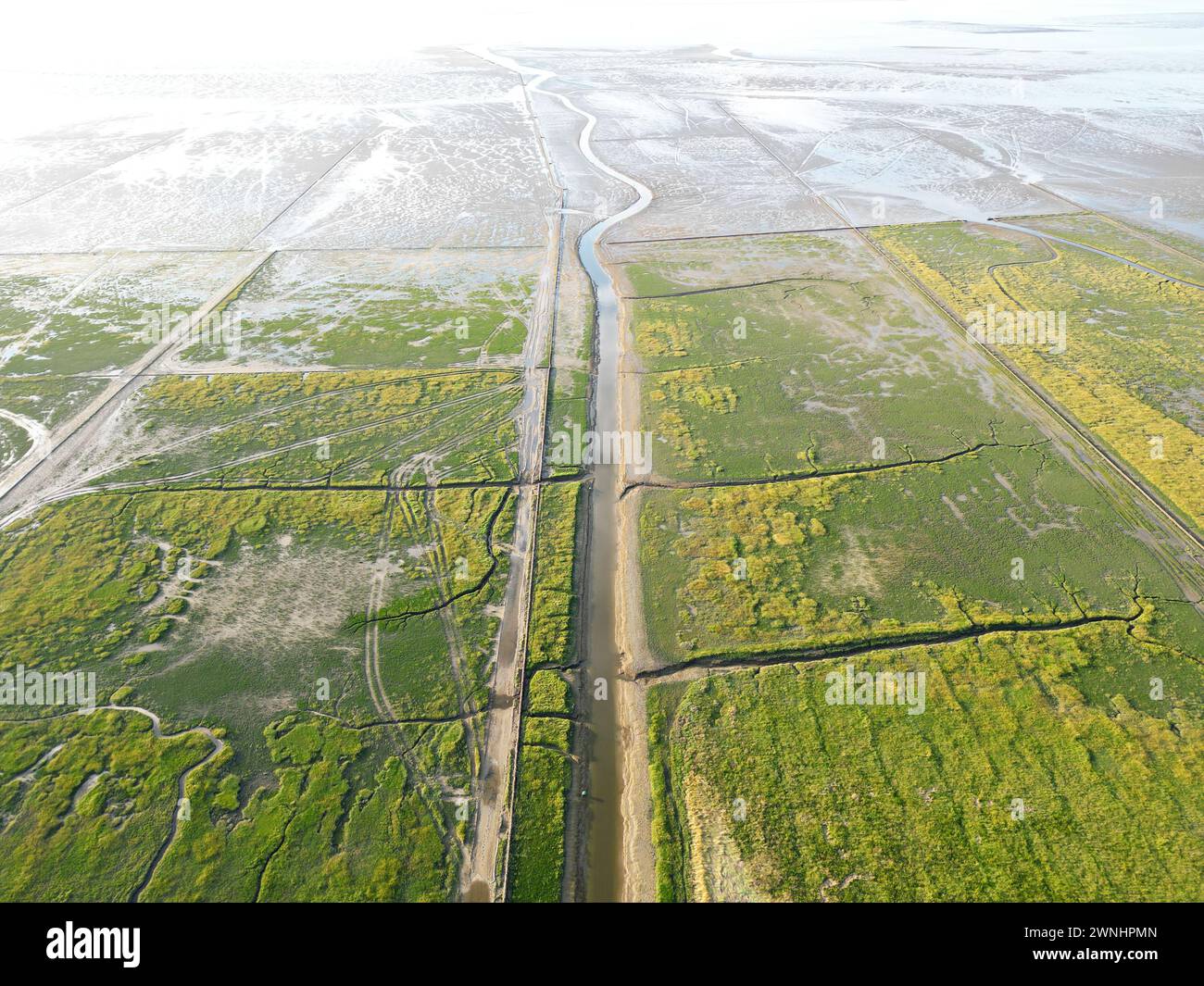Aerial view of tidal channels and gullies , Waddenzee, The Netherlands ...