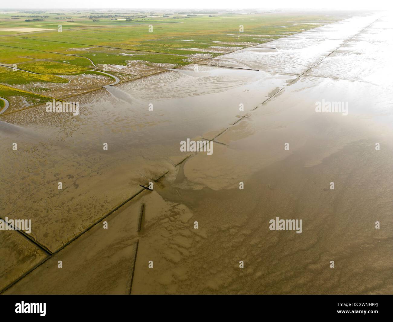 Aerial view of tidal channels and gullies , Waddenzee, The Netherlands ...