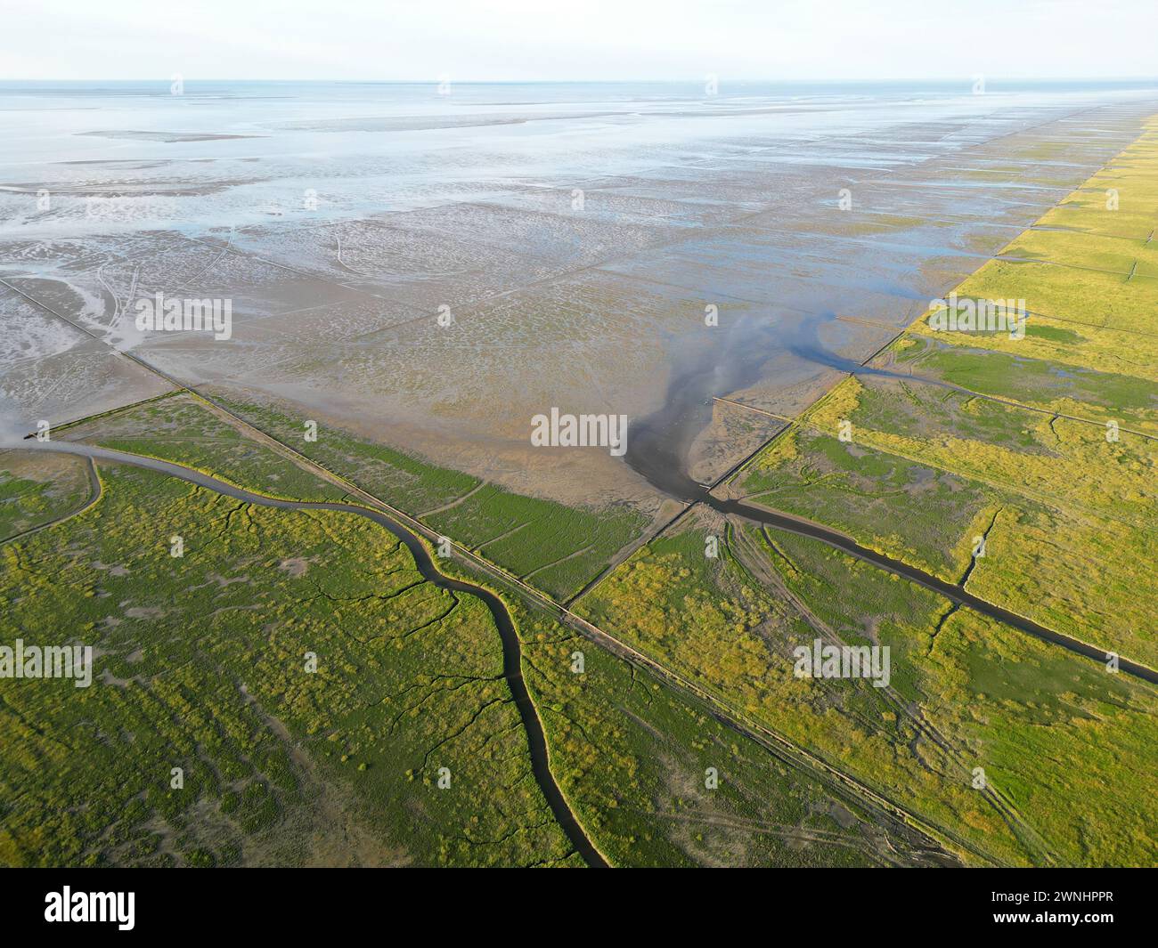 Aerial view of tidal channels and gullies , Waddenzee, The Netherlands ...
