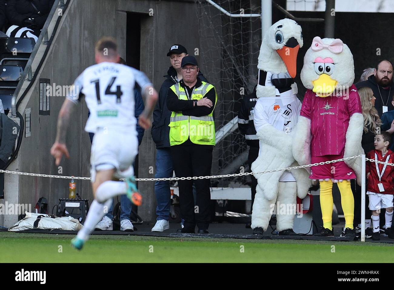 Efl mascots hi-res stock photography and images - Alamy