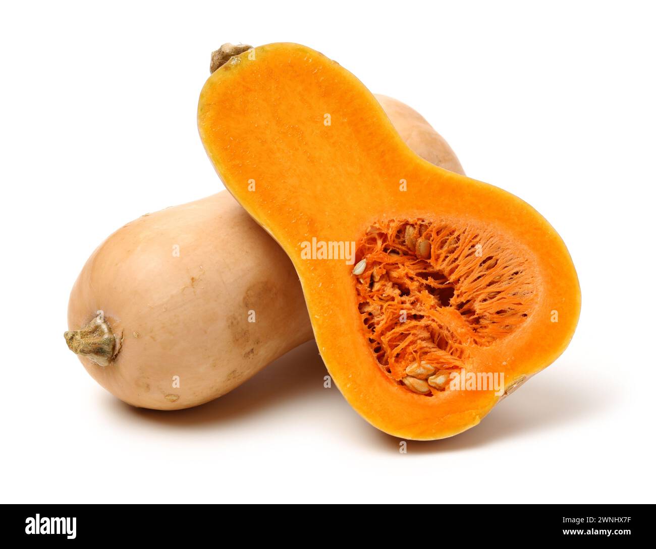 butternut squash isolated on white background Stock Photo - Alamy