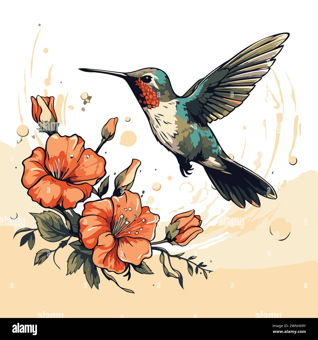 Hummingbird sketch Stock Vector Images - Alamy