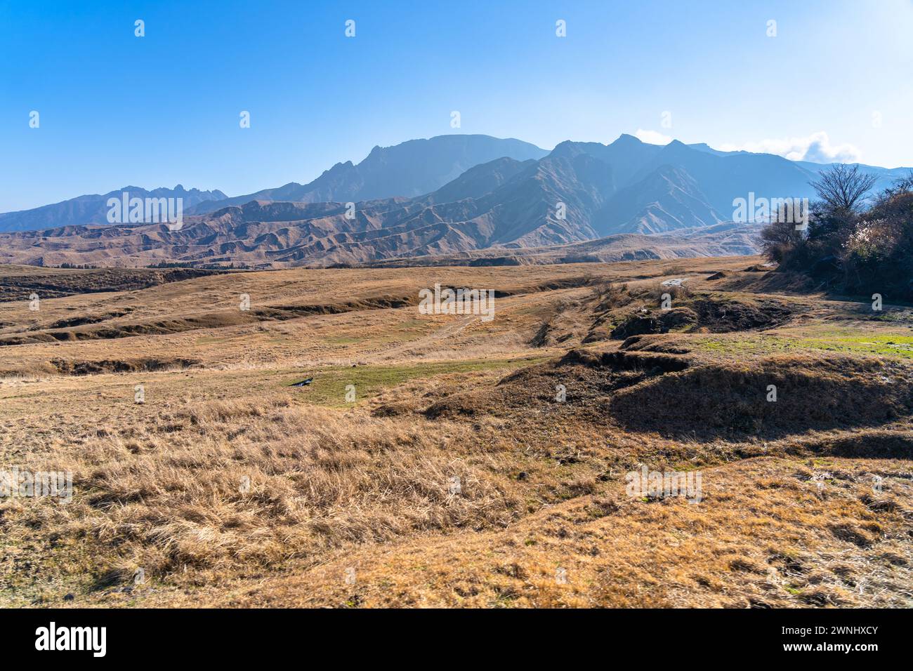Kusasenri prairie observation in January. Aso Kuju National Park ...