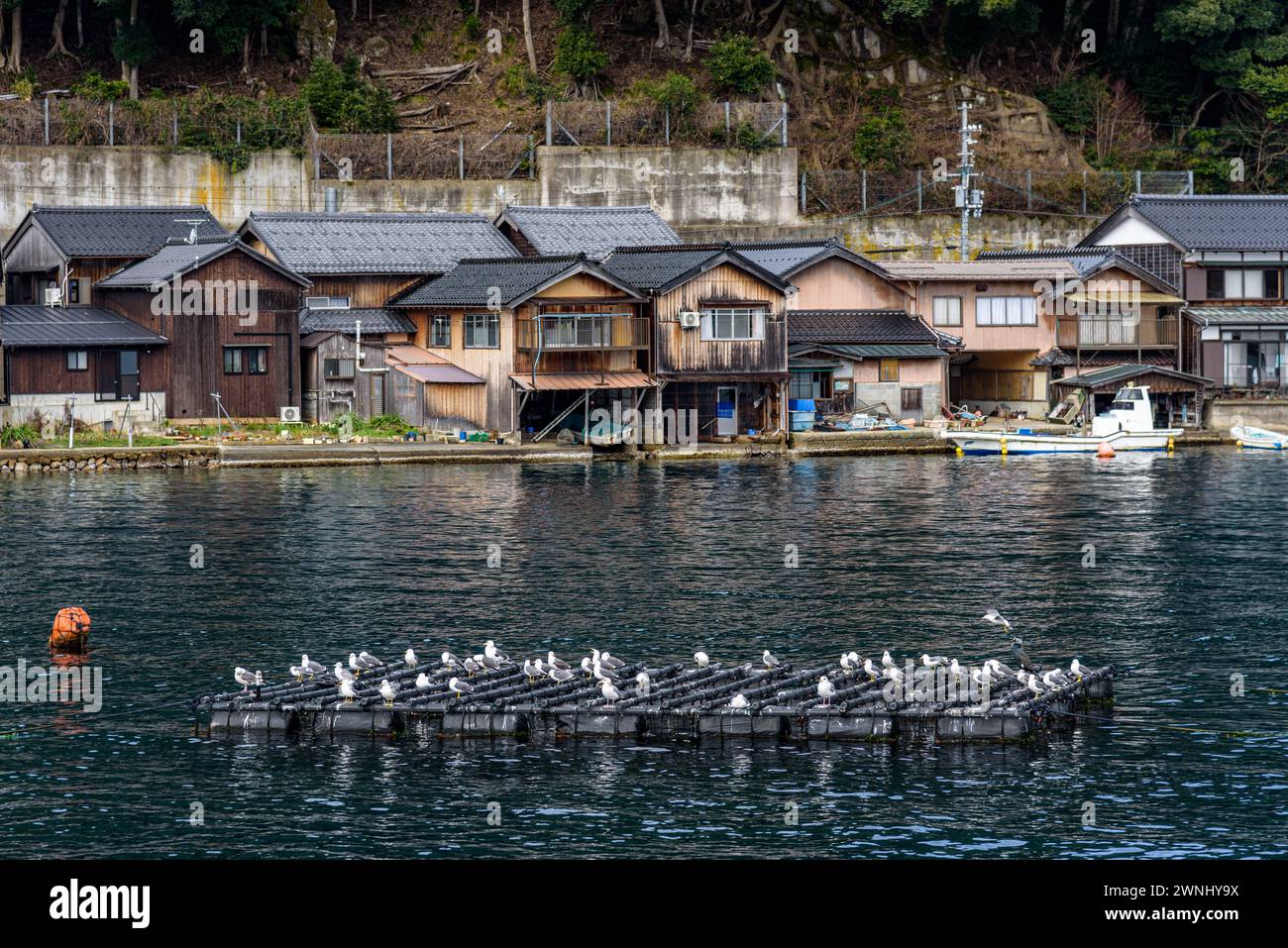 Traditional wooden fishermen Funaya boathouses in Ine north Kyoto ...
