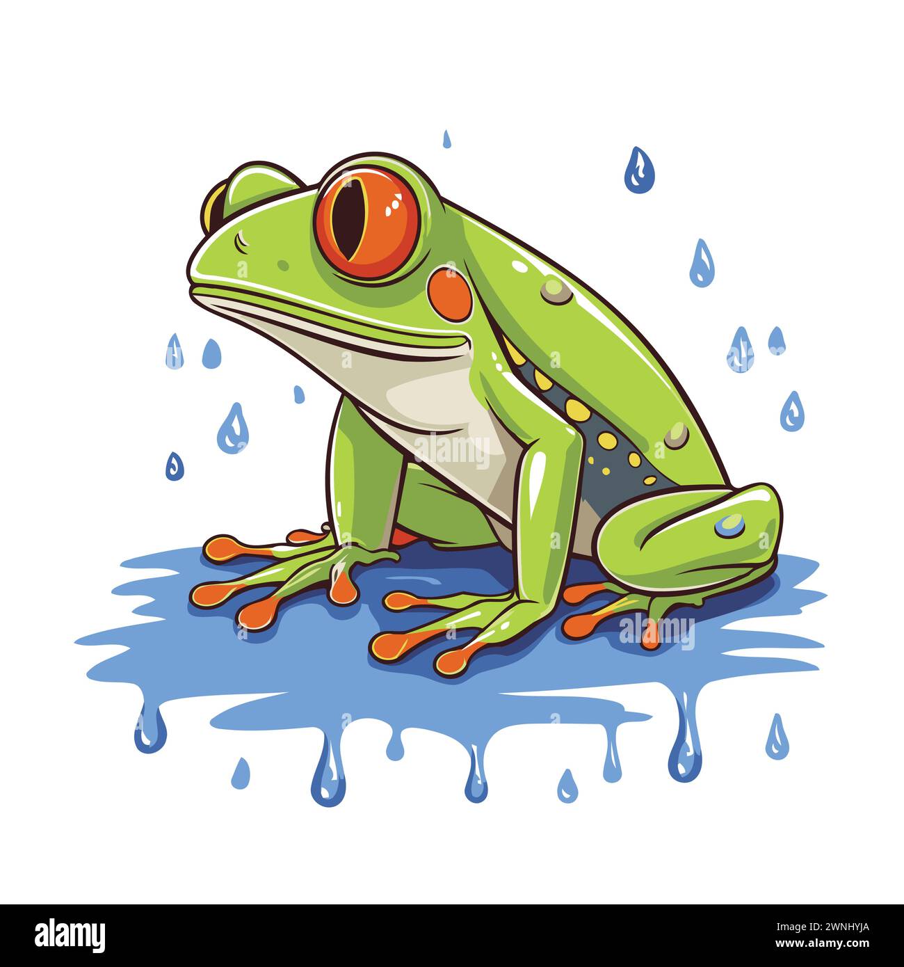 Frog in rain drops. Vector illustration isolated on white background ...