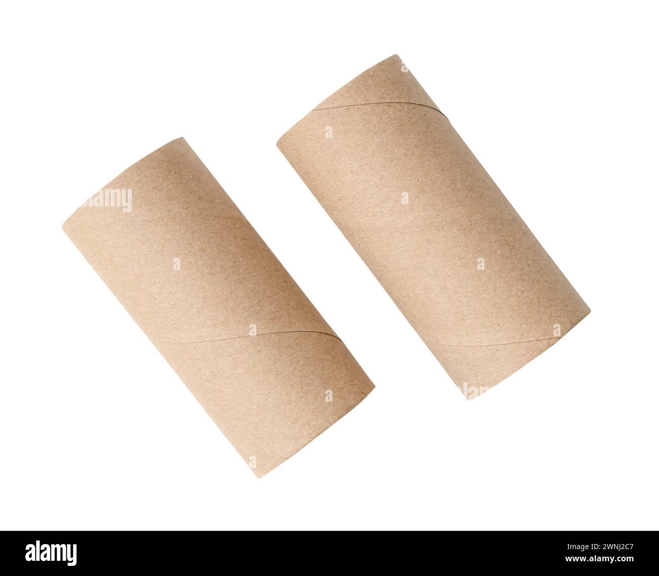 Top view set of tissue paper cores is isolated on white background with ...