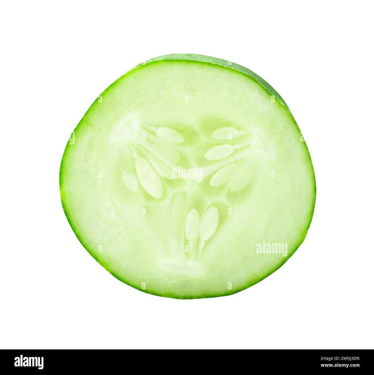 Top view of single fresh cucumber slice or piece is isolated on white ...