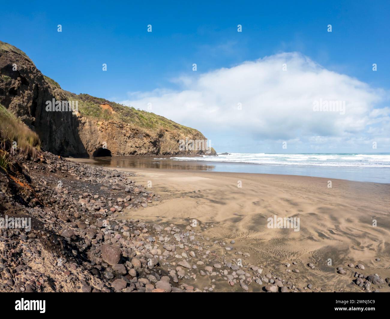 Te henga walkway hi-res stock photography and images - Alamy
