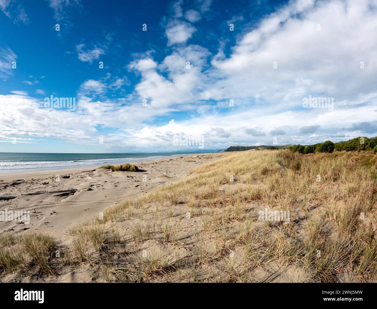 Port Ohope Recreation Reserve : Blue Sky and White Sands on the Beach ...
