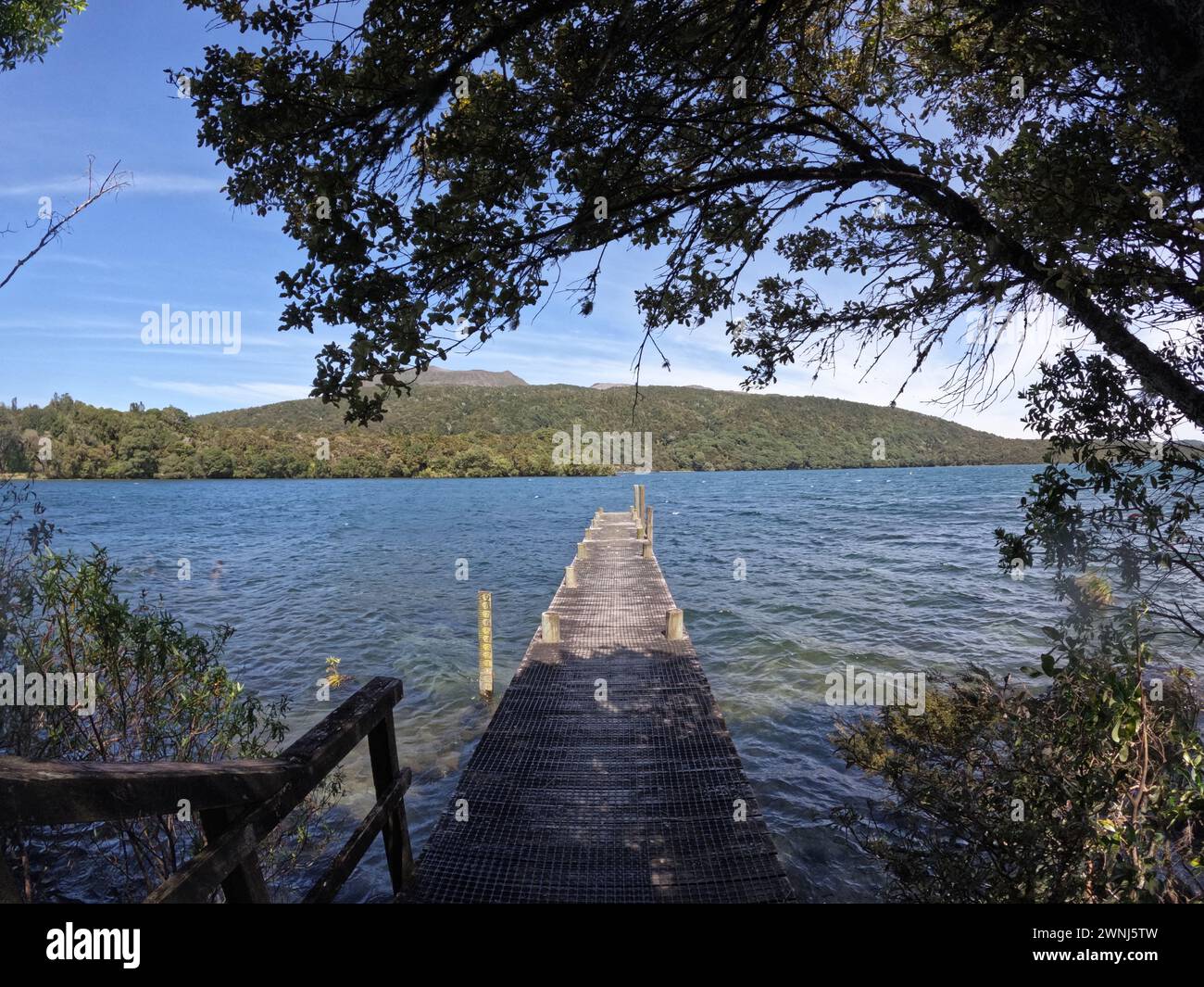 Tarawera Cascades : Where Lush Vegetation meets Clear Water of Tarawera ...