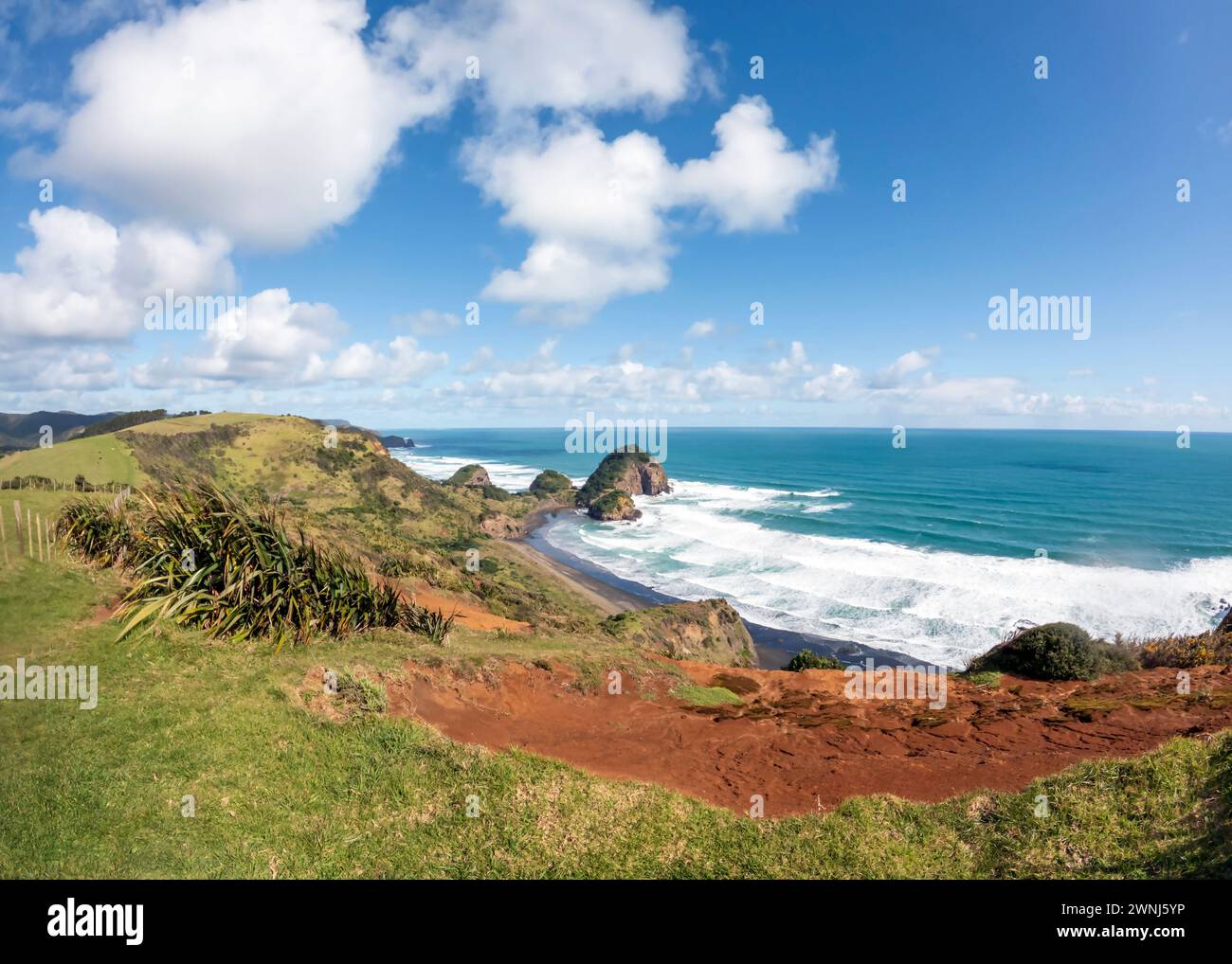 Bethells beach walkway hi-res stock photography and images - Alamy