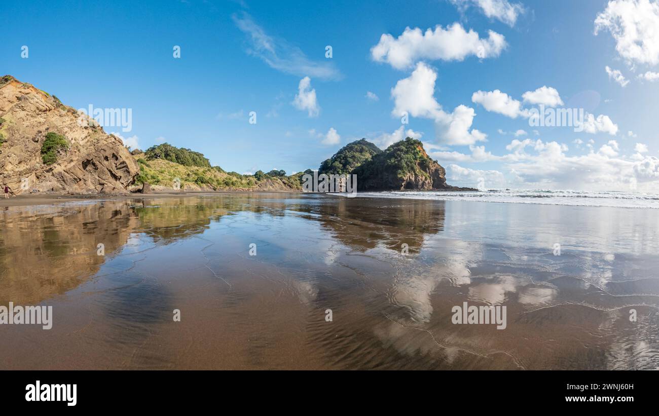 Te henga walkway hi-res stock photography and images - Alamy
