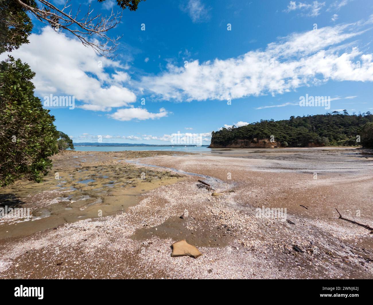 Birkenhead in New Zealand: Tranquil Landscape - Auckland Coastal View ...