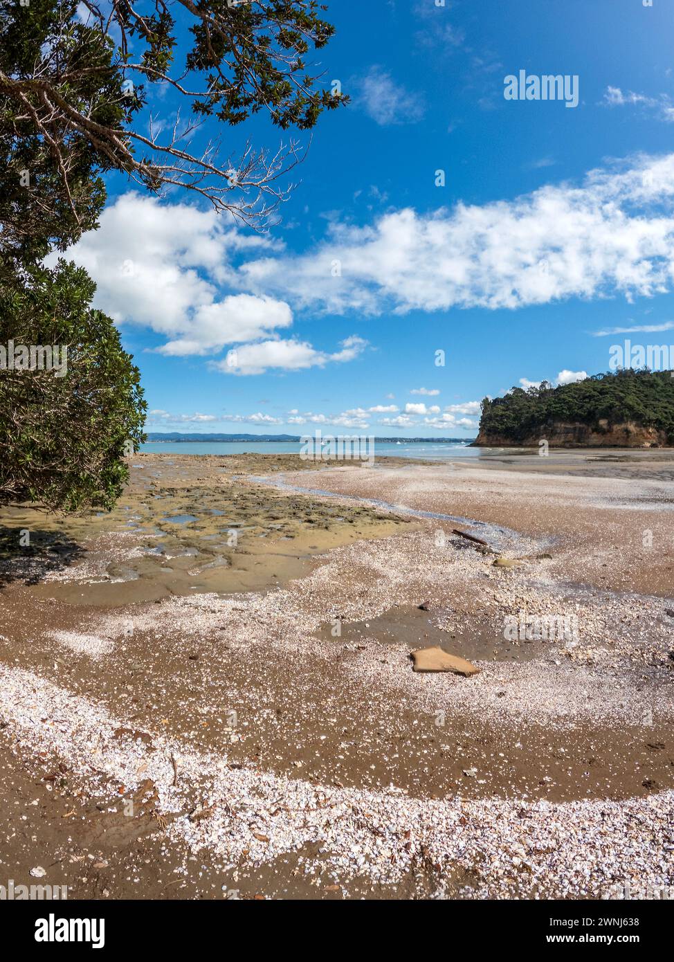 Birkenhead in New Zealand: Tranquil Landscape - Auckland Coastal View ...