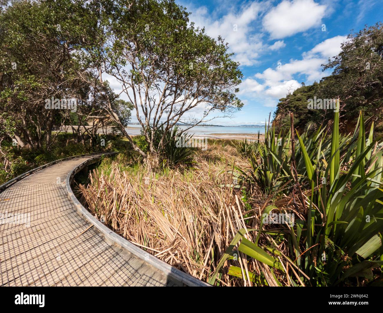 Birkenhead in New Zealand: Tranquil Landscape - Auckland Coastal View ...