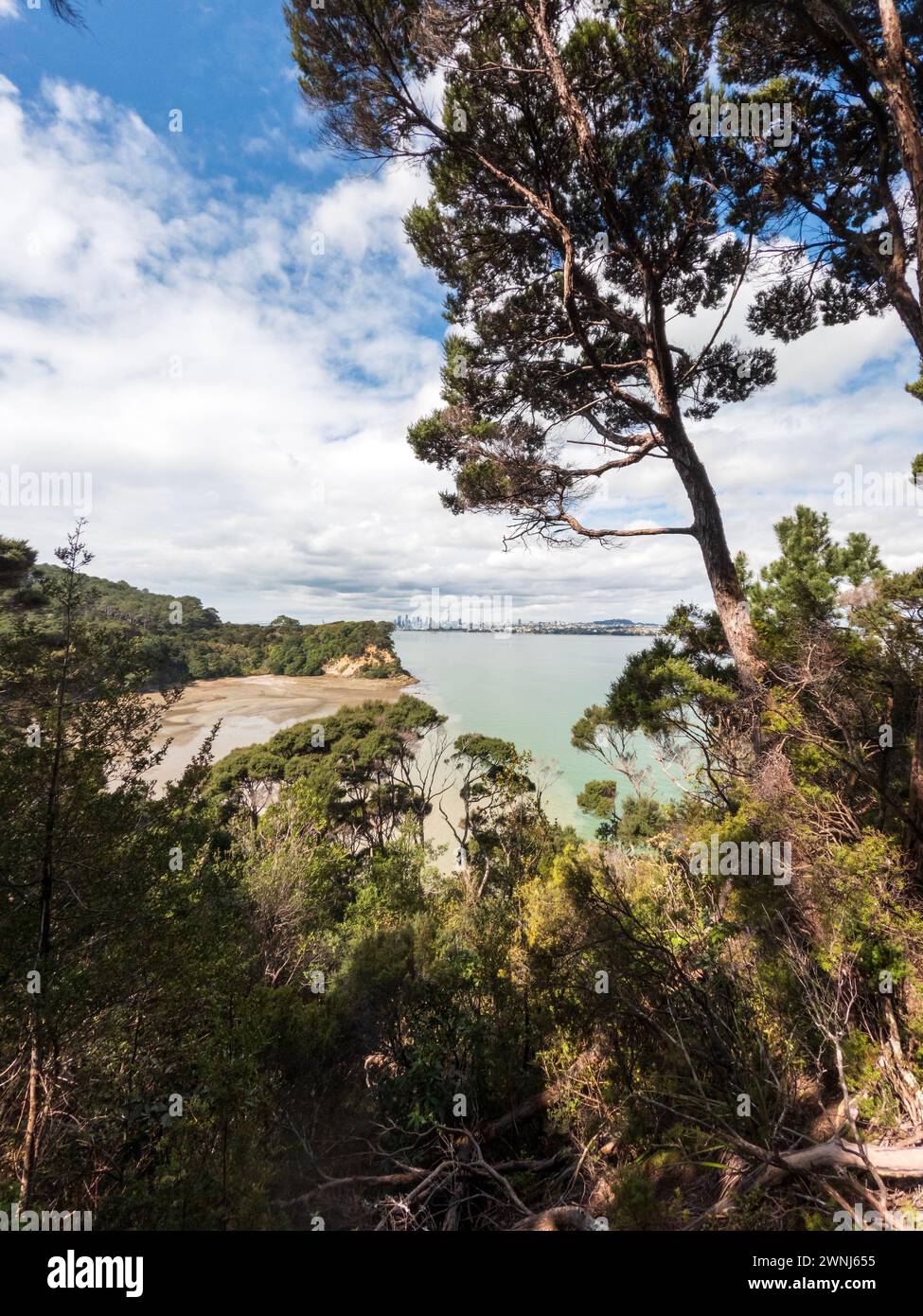 Birkenhead in New Zealand: Tranquil Landscape - Auckland Coastal View ...