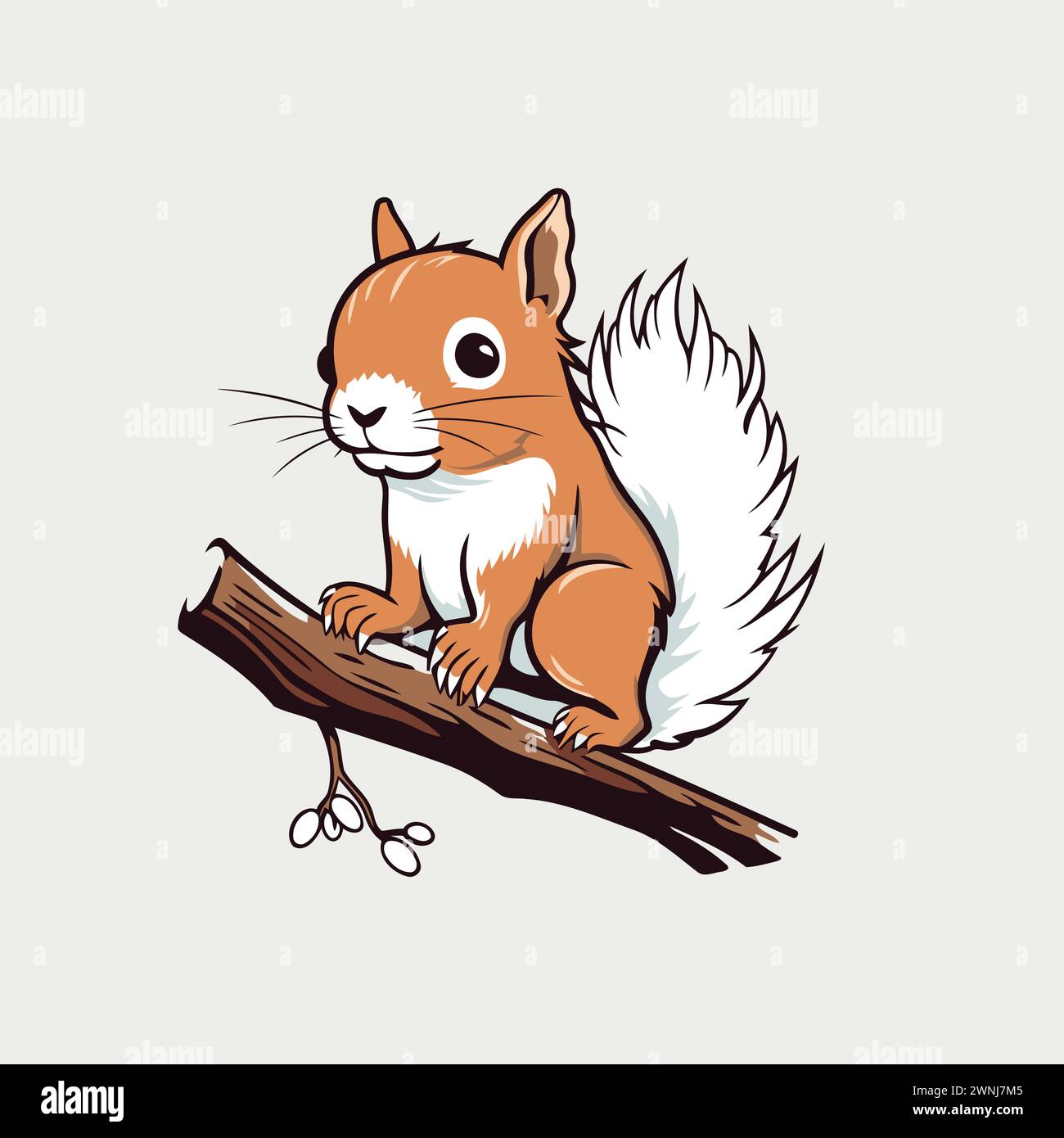 Squirrel sitting on tree branch Stock Vector Images - Alamy