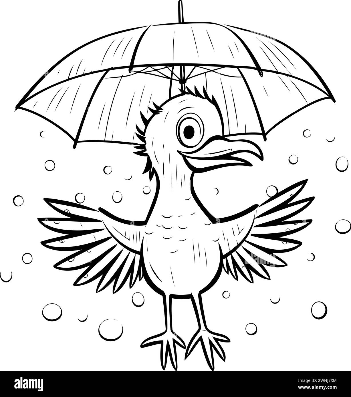 Umbrella bird Cut Out Stock Images & Pictures - Alamy