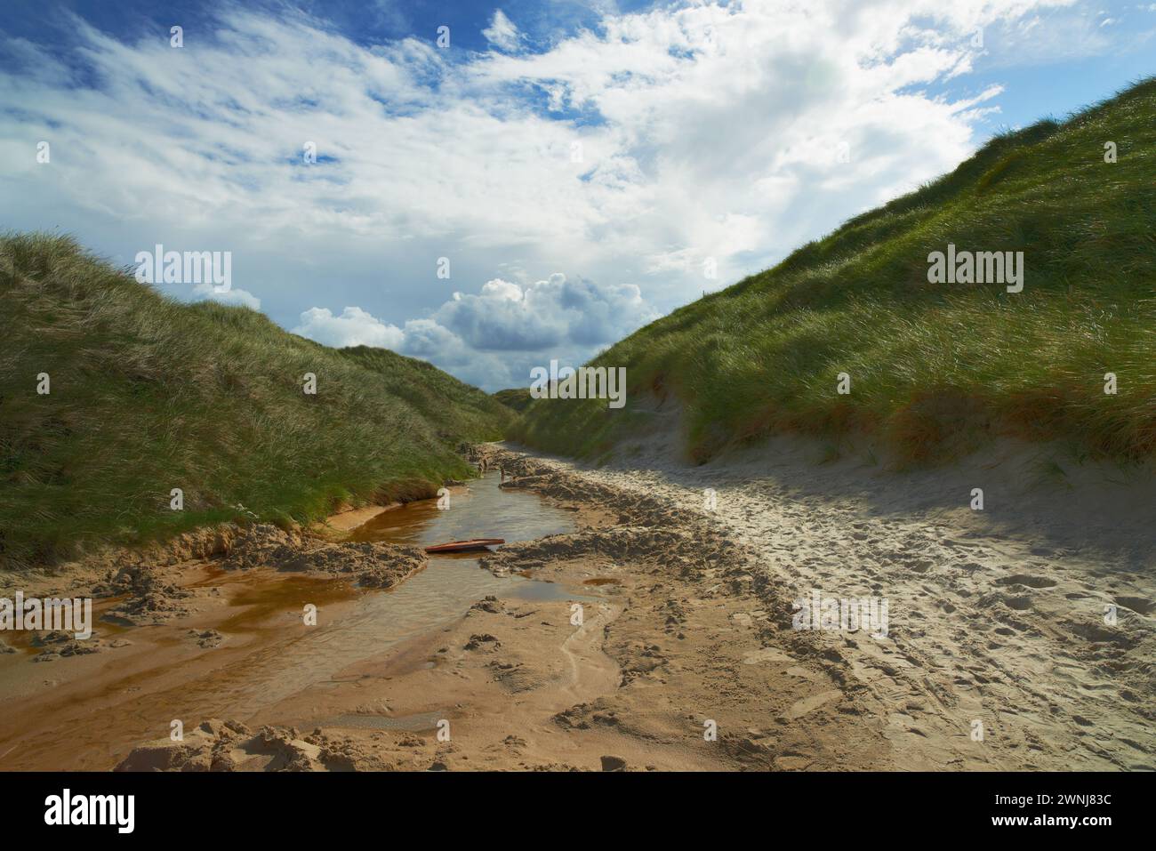 River, nature and landscape of water stream, green hill and beach with ...