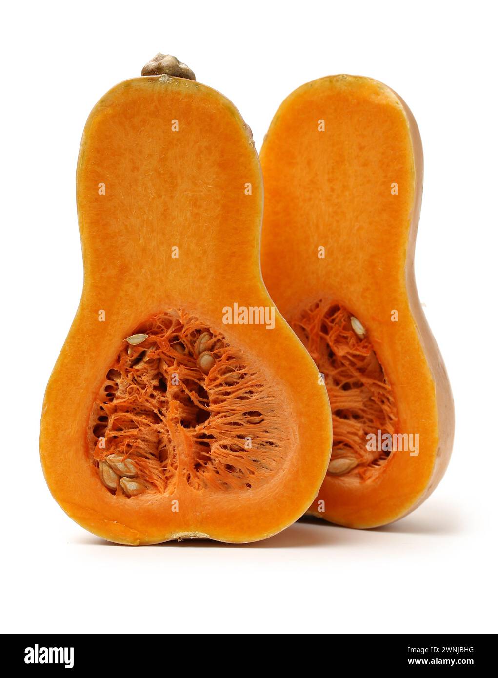 butternut squash isolated on white background Stock Photo - Alamy