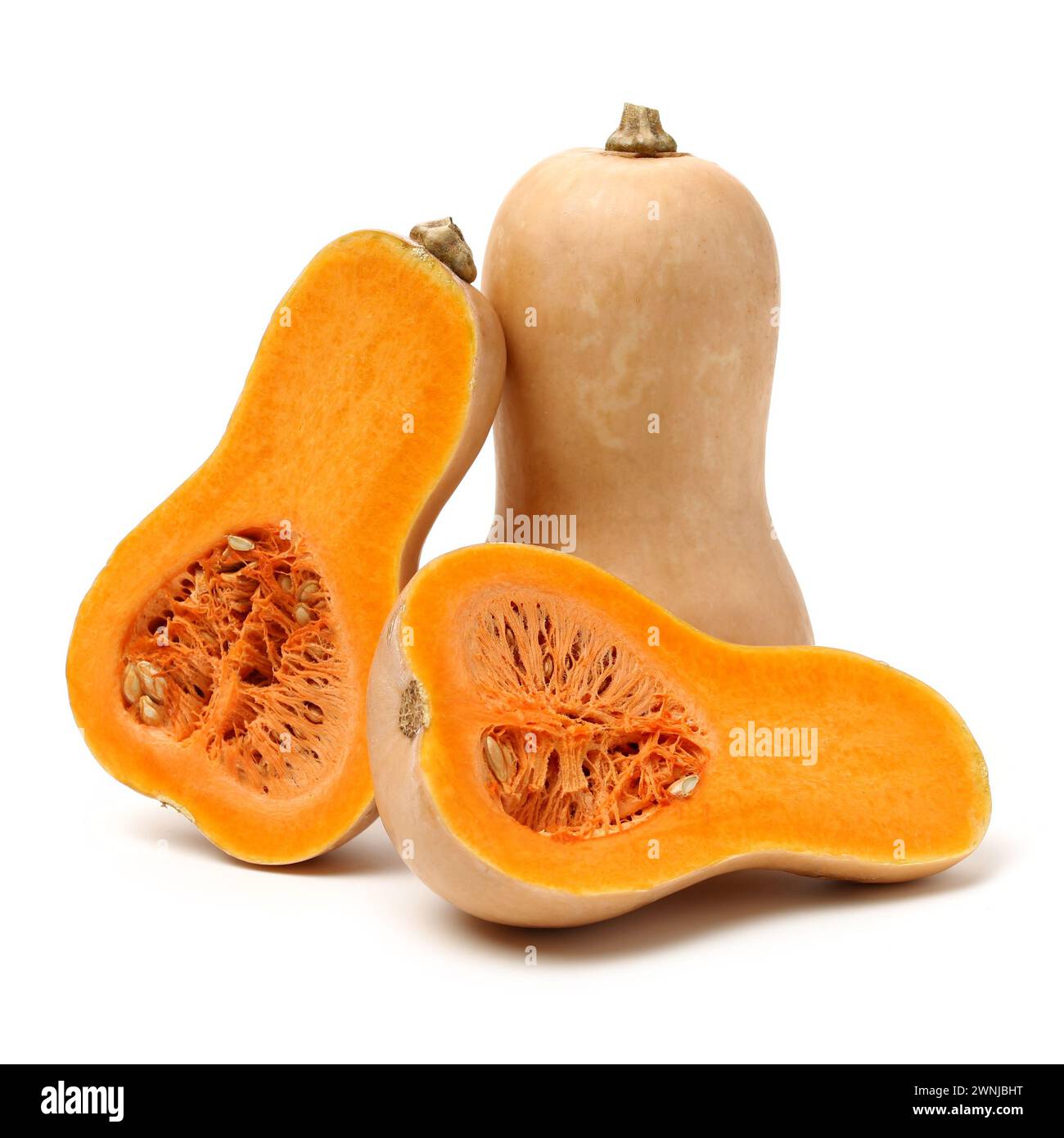 butternut squash isolated on white background Stock Photo - Alamy