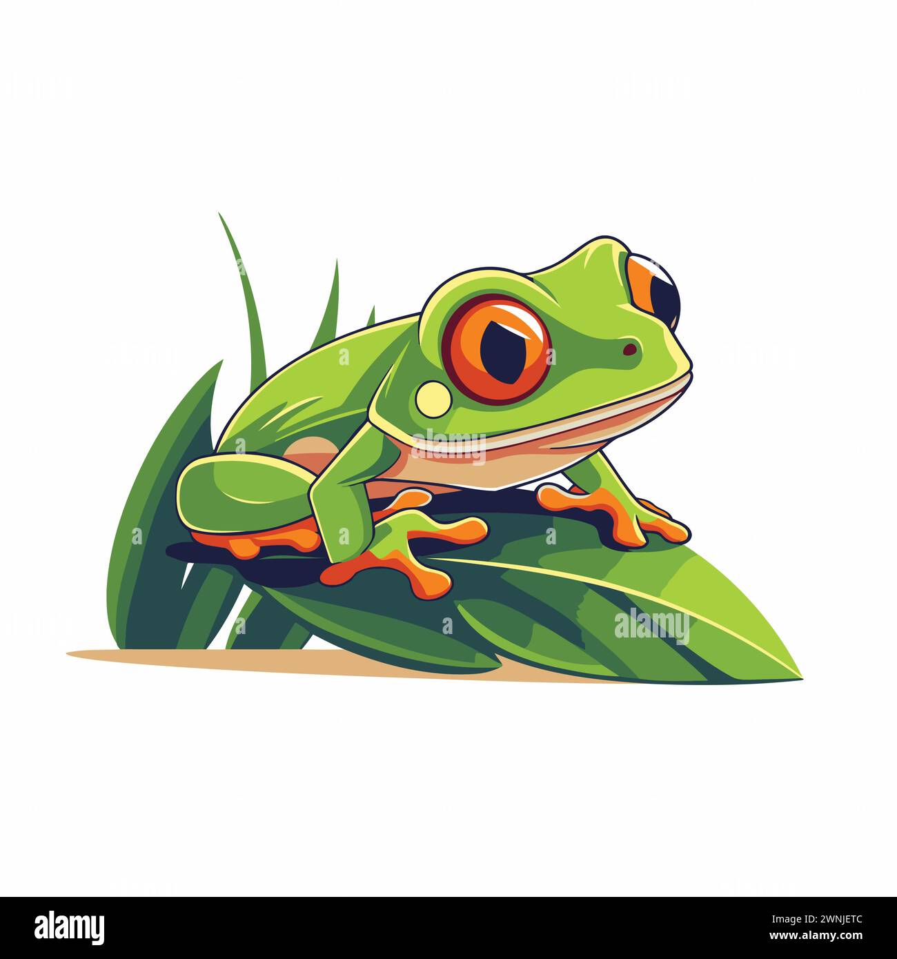 Green tree frog sitting on a green leaf isolated on white background ...