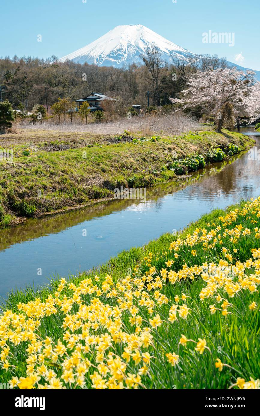 Spring of Oshino Hakkai countryside village and Fuji Mountain in ...