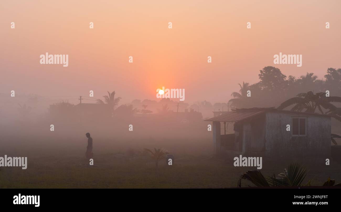 Landscape with sunrise in rural farmland in India. Foggy sunrise at Goa ...