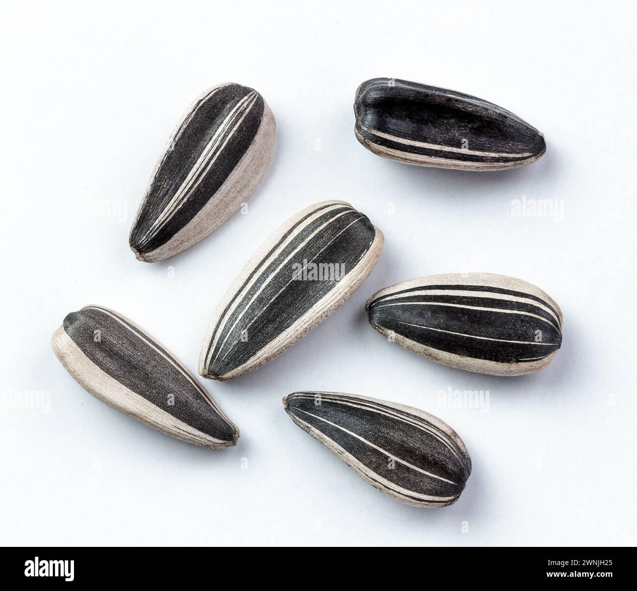 sunflower seeds isolated white background Stock Photo - Alamy