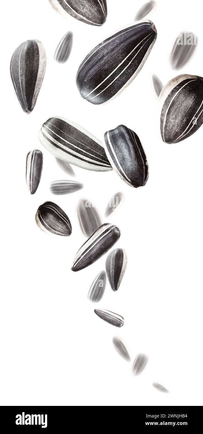 sunflower seeds isolated white background Stock Photo - Alamy