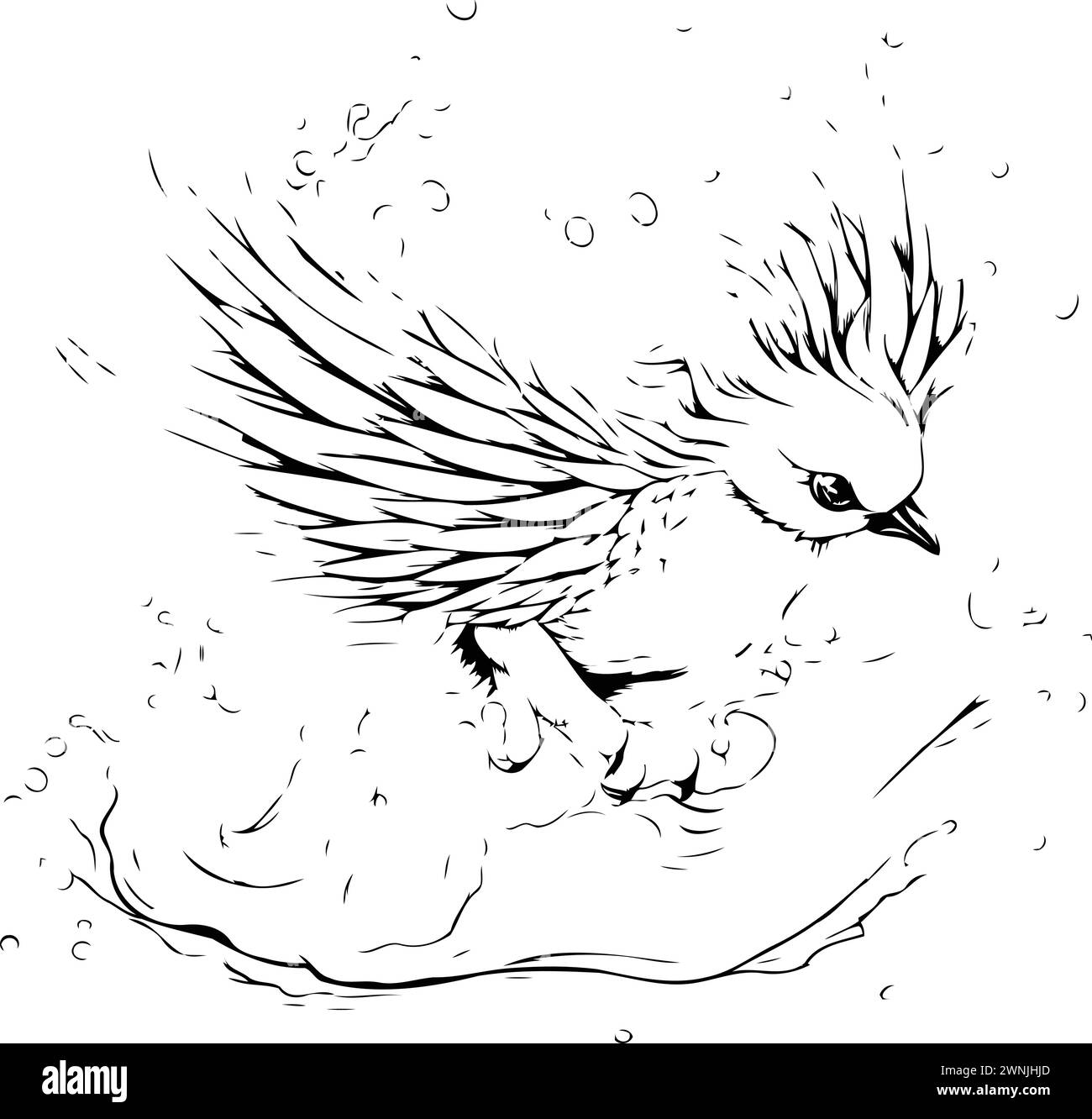 Hand drawn sketch of a flying bird. Vector illustration on white ...