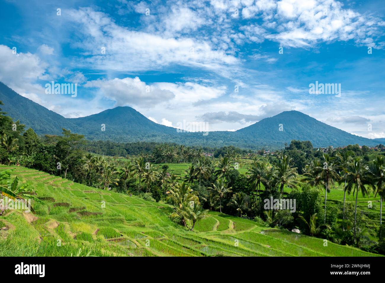JATILUWIH RICE TERRACES, BALI - INDONESIA | Nature's patchwork quilt ...