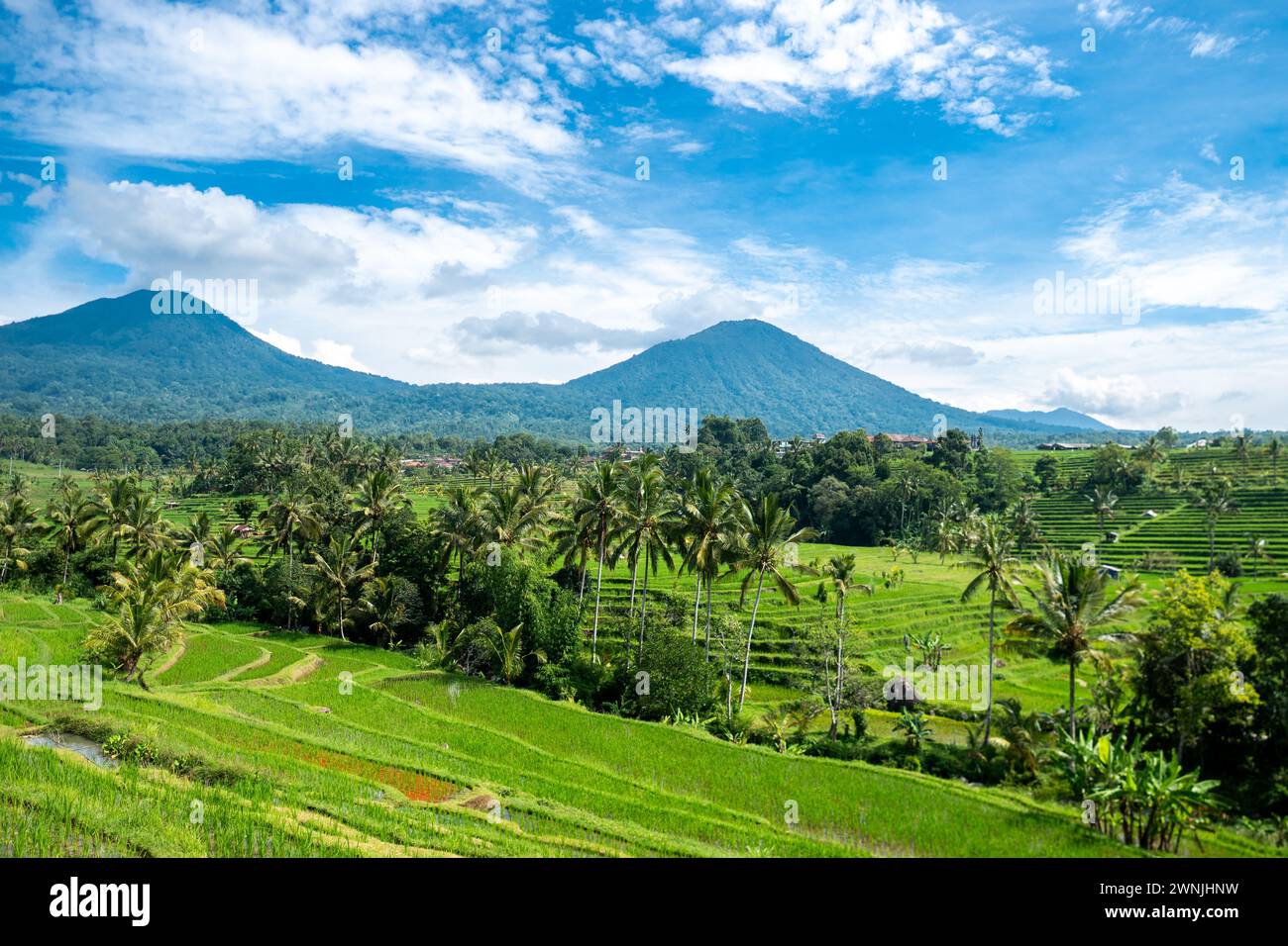 JATILUWIH RICE TERRACES, BALI - INDONESIA | Nature's patchwork quilt ...