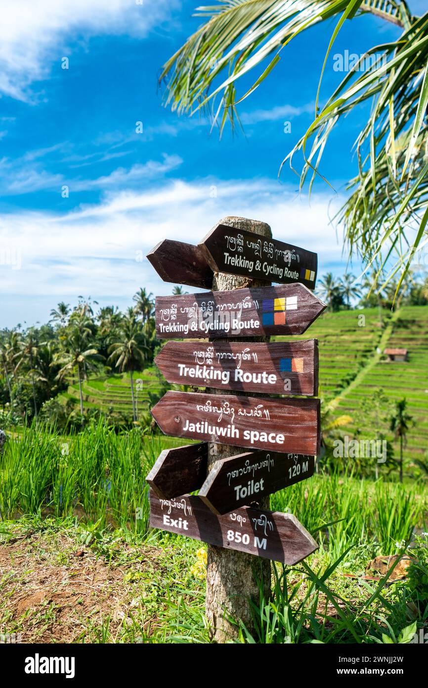 JATILUWIH RICE TERRACES, BALI - INDONESIA | Nature's patchwork quilt ...