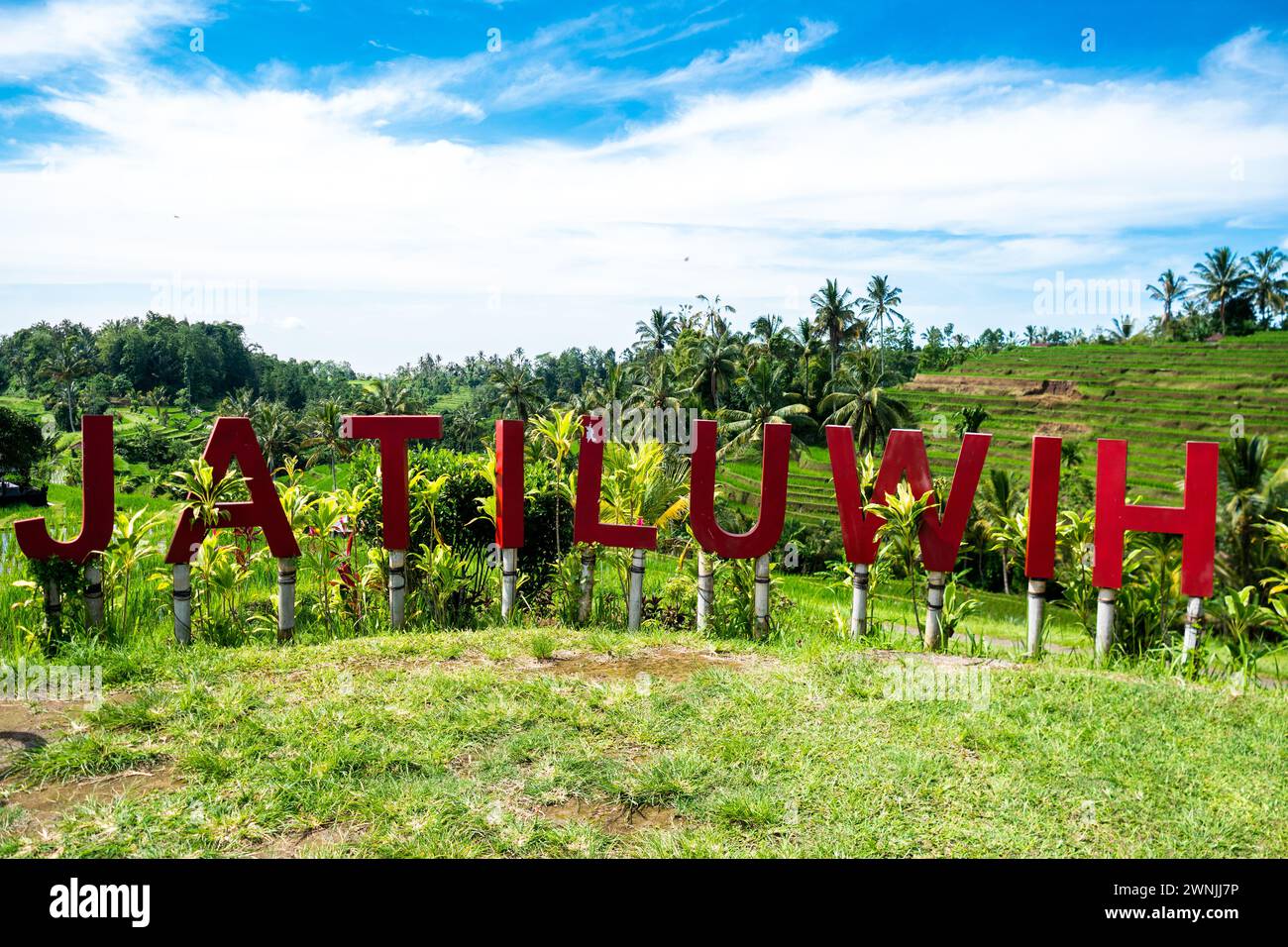 JATILUWIH RICE TERRACES, BALI - INDONESIA | Nature's patchwork quilt ...