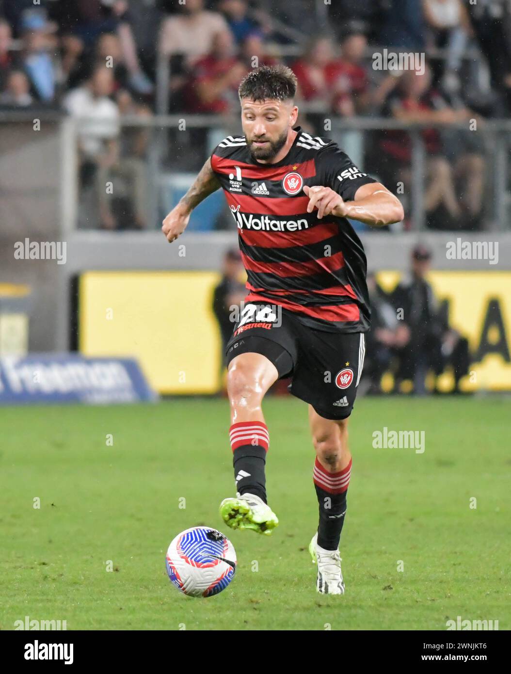 Brandon borello hi-res stock photography and images - Alamy