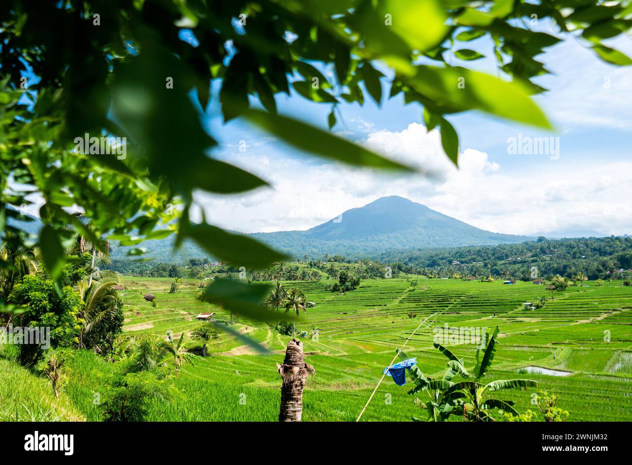 JATILUWIH RICE TERRACES, BALI - INDONESIA | Nature's patchwork quilt ...