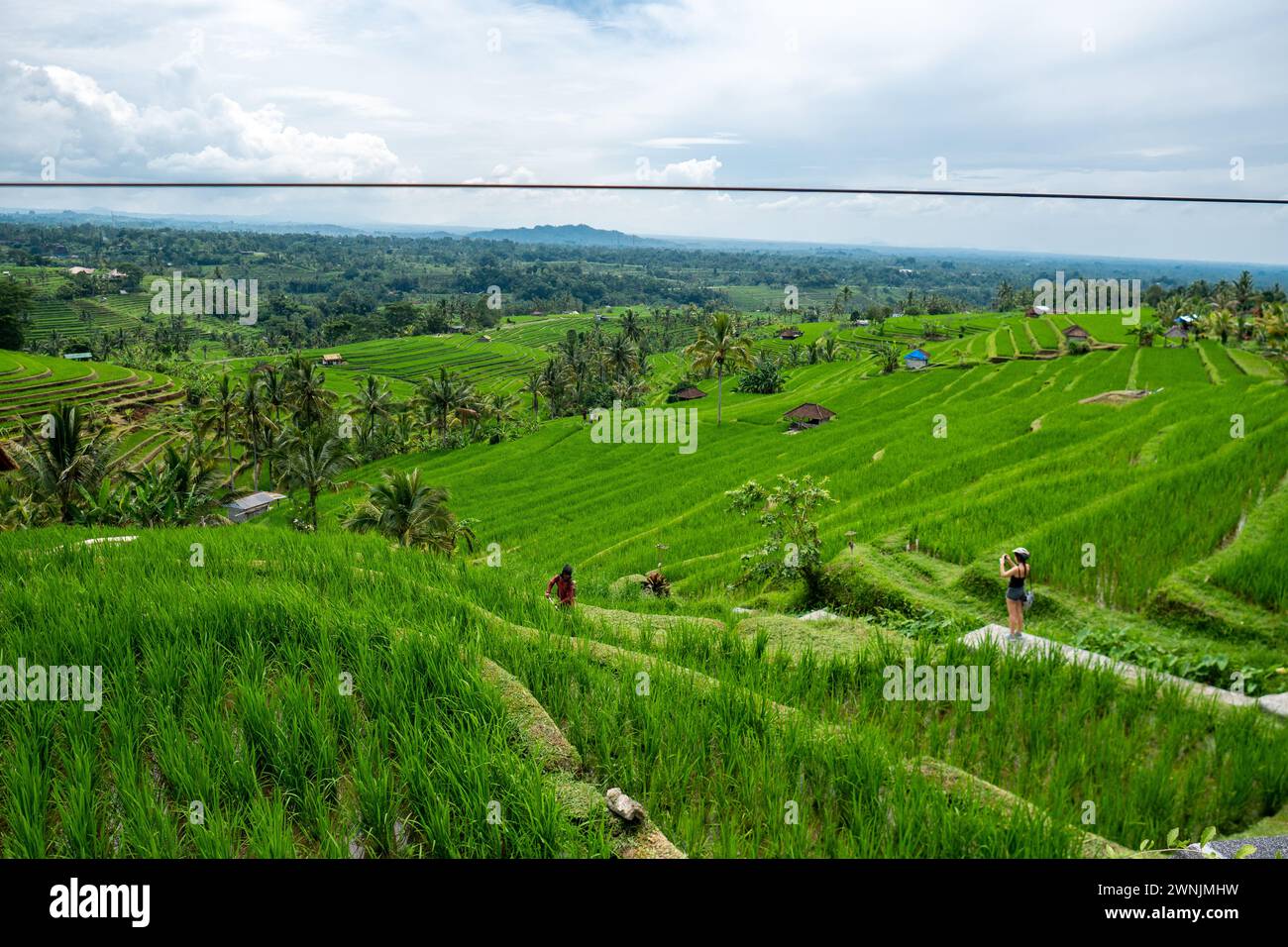 JATILUWIH RICE TERRACES, BALI - INDONESIA | Nature's patchwork quilt ...
