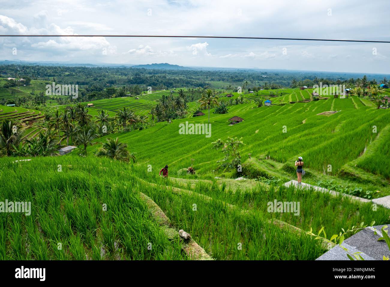 JATILUWIH RICE TERRACES, BALI - INDONESIA | Nature's patchwork quilt ...