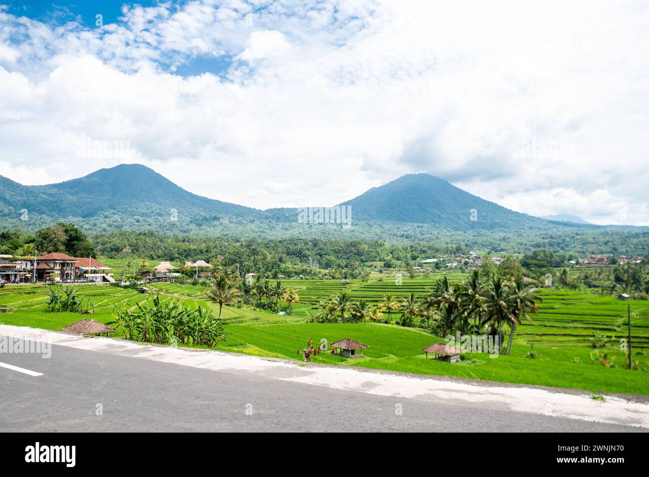 JATILUWIH RICE TERRACES, BALI - INDONESIA | Nature's patchwork quilt ...