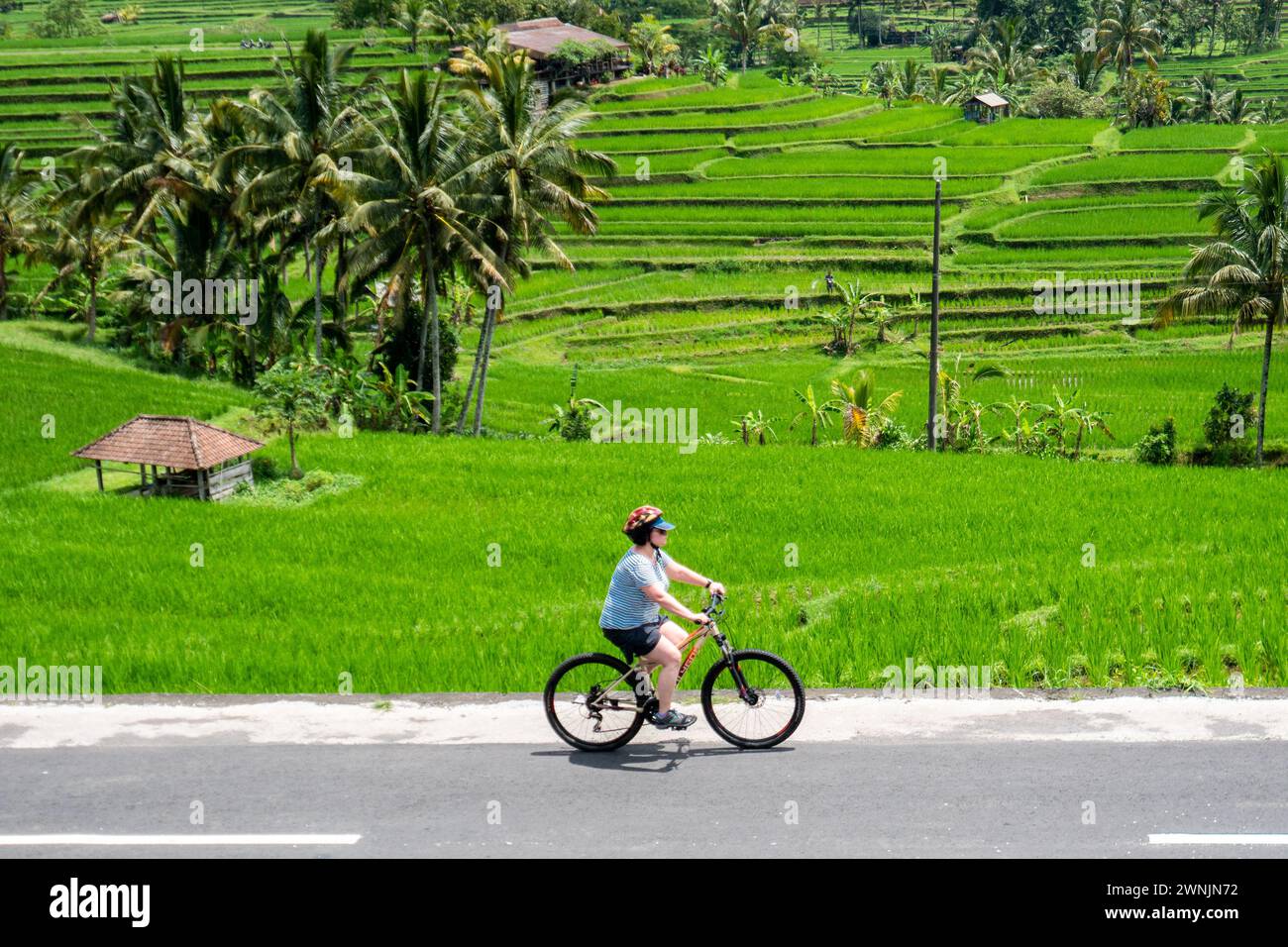 JATILUWIH RICE TERRACES, BALI - INDONESIA | Nature's patchwork quilt ...