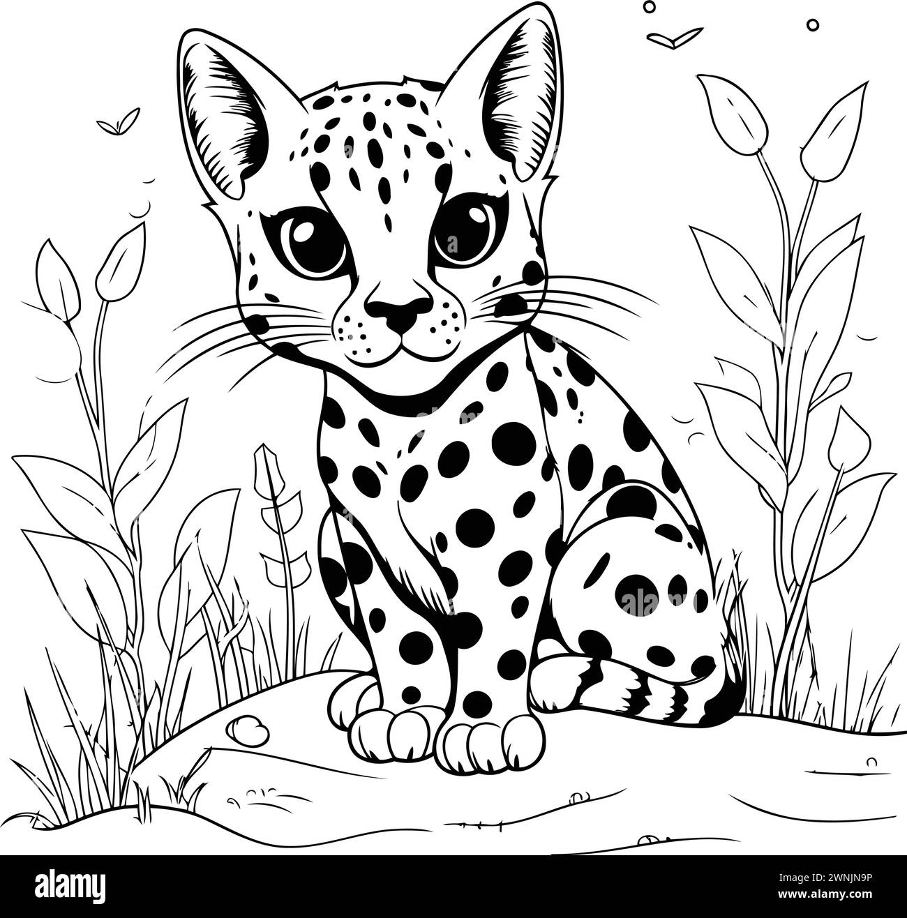 Cartoon white leopard Black and White Stock Photos & Images - Alamy