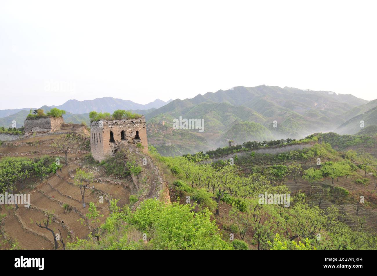 Ancient ecological wall, north China, elm ridge, the Great Wall Stock ...