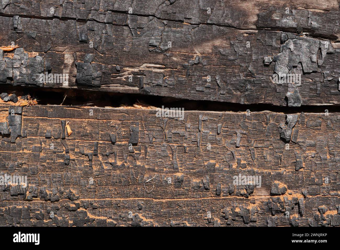 carbonized wood texture, closeup of photo Stock Photo - Alamy