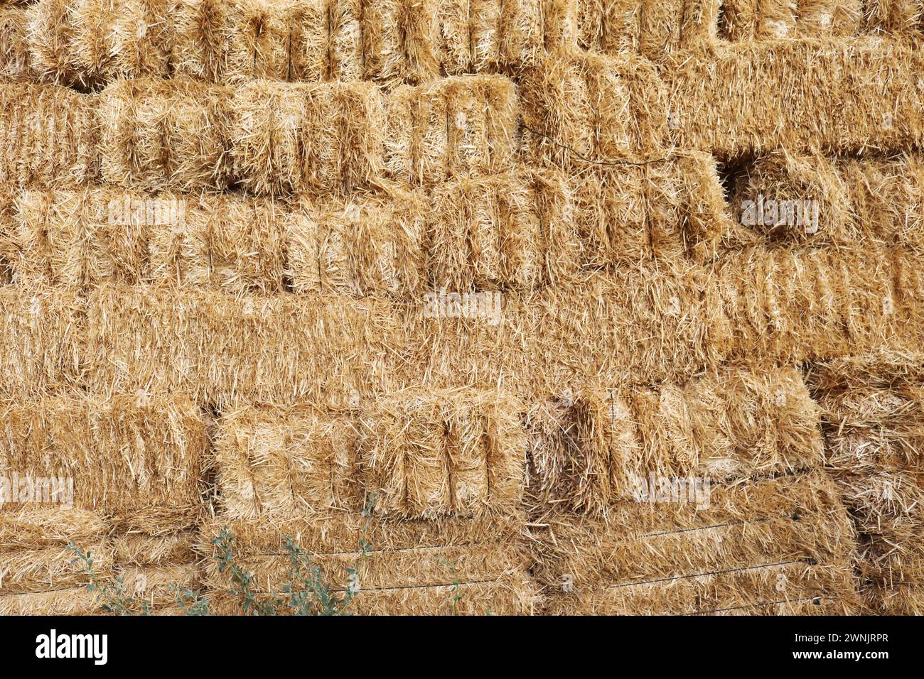 Bale surface hi-res stock photography and images - Alamy