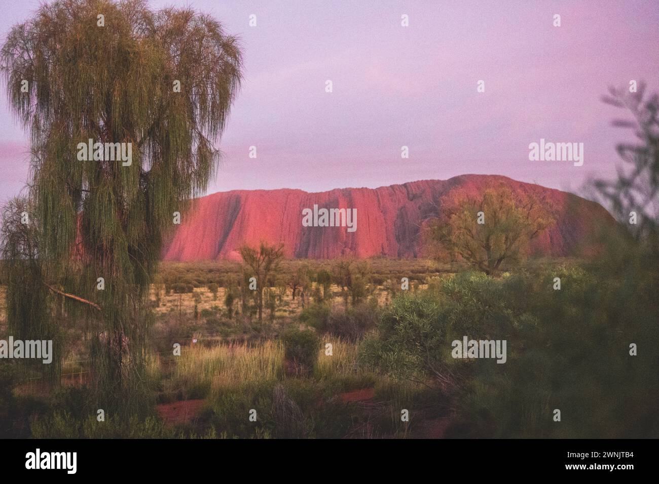 Yulara nt hi-res stock photography and images - Alamy