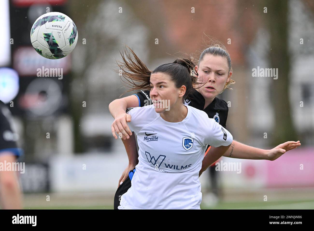Knokke, Belgium. 02nd Mar, 2024. Luna Vanzeir (30) of Genk and Caitlin Lievens (21) of Club YLA ...