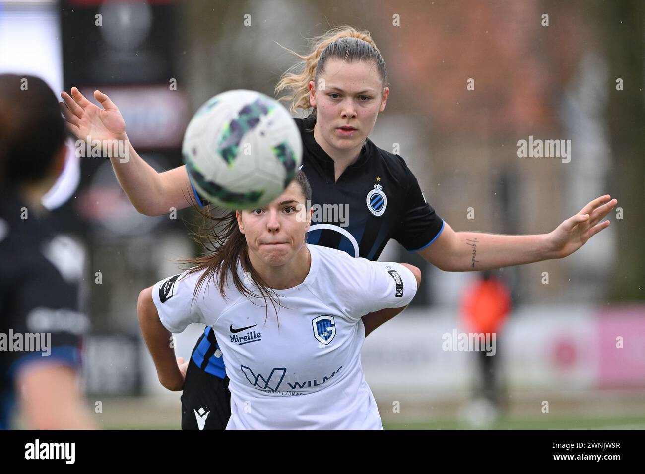 Knokke, Belgium. 02nd Mar, 2024. Luna Vanzeir (30) of Genk and Caitlin Lievens (21) of Club YLA ...